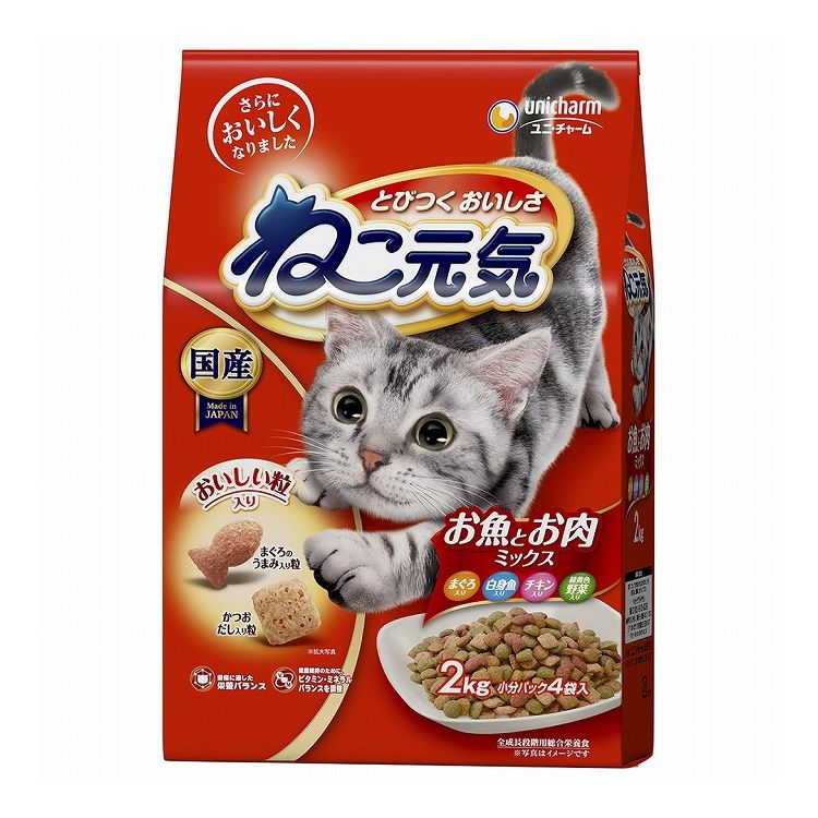 【取り寄せ品のご注意事項（ご注文前にご確認ください）】・本商品は原則注文後のキャンセルはお受けできません。・本商品と他商品で同梱注文をいただき、仮に他商品が完売等でご用意できない場合でも本商品は発送させていただきます。・本商品を複数（2点以...