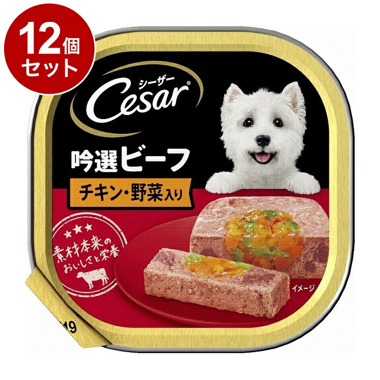 【取り寄せ品のご注意事項（ご注文前にご確認ください）】・本商品は原則注文後のキャンセルはお受けできません。・本商品と他商品で同梱注文をいただき、仮に他商品が完売等でご用意できない場合でも本商品は発送させていただきます。・本商品を複数（2点以...