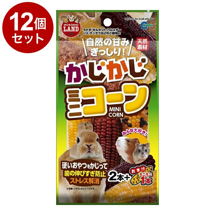 【商品説明】適度なかたさで歯の健康をサポート！！小動物が大好きな適度なかたさのコーンは、かじり木の代わりになり、かじることで歯の伸びすぎを予防します。〇原材料(成分)とうもろこし〇賞味／使用期限(未開封)24ヶ月※仕入れ元の規定により3か月...