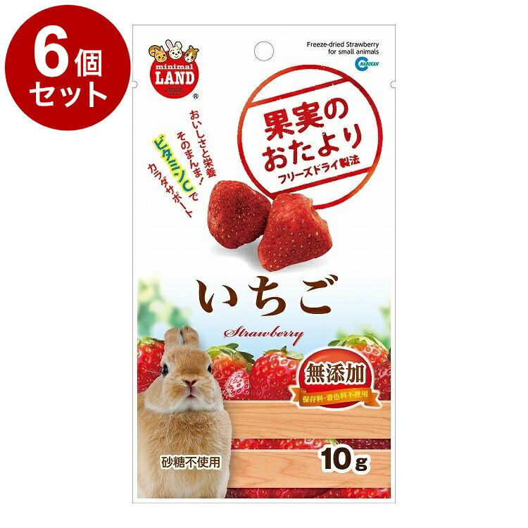 【商品説明】いちごに含まれるビタミンCが健康なふわふわ毛並みを保ちます。保存料・着色料無添加、砂糖不使用なので、安心・安全。手から与えやすいサイズのコミュニケーションおやつです。素材のおいしさと栄養を損なわないフリーズドライ製法で仕上げまし...