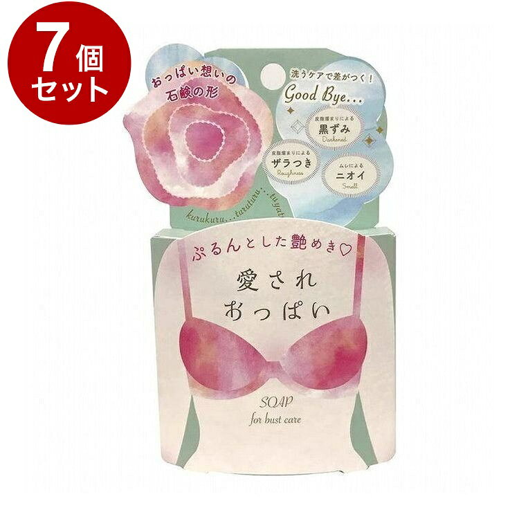 【商品詳細】ブラジャーによる締めつけやムレ、摩擦など、過酷な環境に置かれているおっぱい。また、お肌もとても複雑で、谷間やバストトップは皮脂の分泌が多い一方で、乳房の皮膚はとても繊細で乾燥しやすい。そこで、繊細な皮膚と汚れケアを両方持ち合わせ...