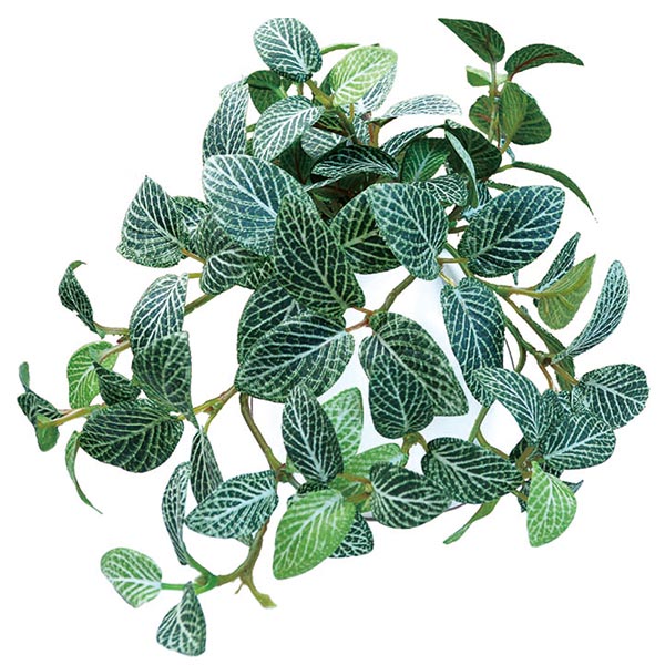 ●太陽光や照明（紫外線）により科学反応をが起こり、悪臭のもとになる有機物を分解したり雑菌やウィルスの増殖を抑える効果があります。●タバコやペットのにおいを分解します。●国内加工。国内で選定したフェイクグリーンをオリジナルの鉢にセットアップ。...