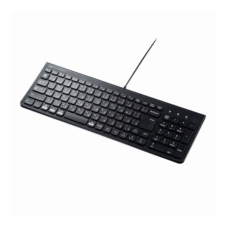 【商品特長】無駄を省いた薄型＆コンパクトなパンタグラフ式キーボード。テンキー付き。ブラック。●最薄部6mmの超薄型形状です。最厚部でも14.4mmで持ち運びや収納に便利です。●ノートパソコンと同じパンタグラフキー方式を採用しています。キーの...