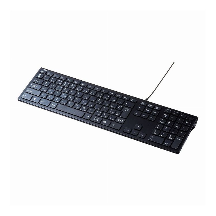 【商品特長】快適に入力できるスタンダードサイズのパンタグラフ式有線キーボード。ブラック。●ノートパソコンに多く採用されているパンタグラフ方式のキーボードです。軽いキータッチが特長です。キートップのどの位置からでも垂直にストロークするため、キ...