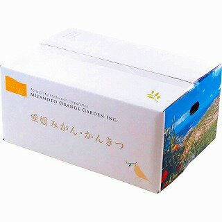 ●セット内容／●愛媛県八幡浜市産　冷凍温州みかん（皮なし）（S〜3Sサイズ）1┣kg┫●箱サイズ／24.5×28.5×13cm●原産国／日本●重量／1.3kg旬の時期の1番おいしいみかんを冷凍にしました。甘さひきたつ天然のシャーベット、ヘル...