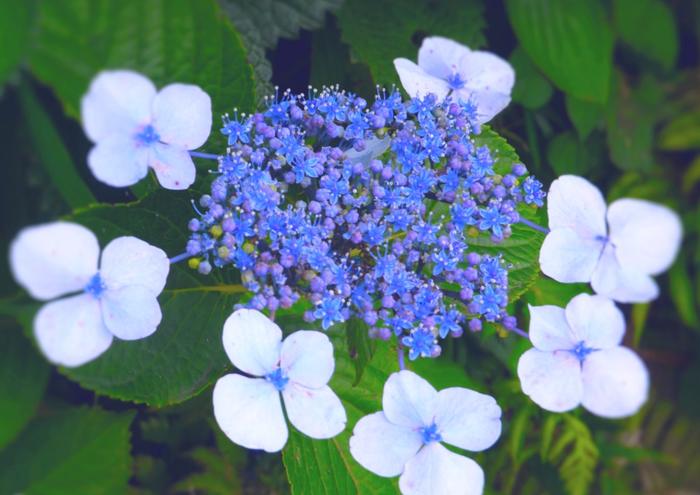 【製品仕様】 ◆サイズ：A1版（830mm×585mm）／梱包サイズ：600mm×60mm×60mm（ダンボール材のポスターボックス） ◆キャラクロ（キャラクターインテリアクロス）：壁紙の上からでも床や天井や窓ガラスでもどこでもぴたっと貼れ...