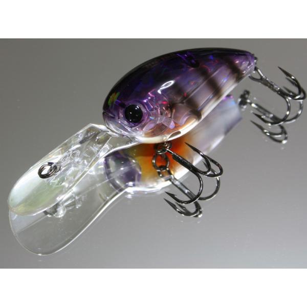 巻くだけのクランクではなく浮上時のアクションも考え設計し日本のフィールドに合わせた食わせのクランキング●商品情報 ・巻くだけのクランクではなく浮上時のアクションも考え設計し日本のフィールドに合わせた食わせのクランキング（ライザーテクニック）...