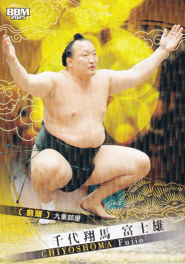 宅配便や、お手軽なメール便など様々な配送方法をご用意しております。　BOX販売・デッキ販売などの記載がない場合、ボックス封入シングルカード、デッキ封入スリーブ、デッキケースなどの単品販売です。 また、商品名に【プレイ用】表記がある場合は、プ...