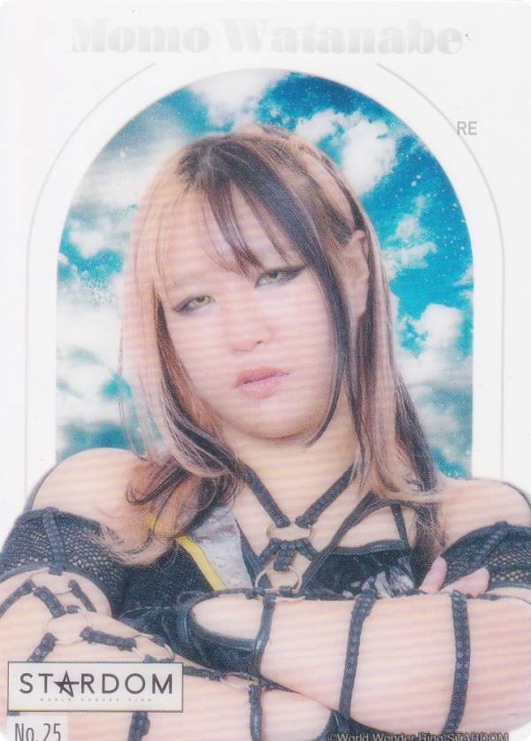 (c)World Wonder Ring STARDOM カプセル商品についてはカプセル・ブックレットが付かない場合があります。食玩についてはお菓子、外箱は付いておらず玩具のみの販売となります。類似商品はこちら ブシロード トレーディングカ...