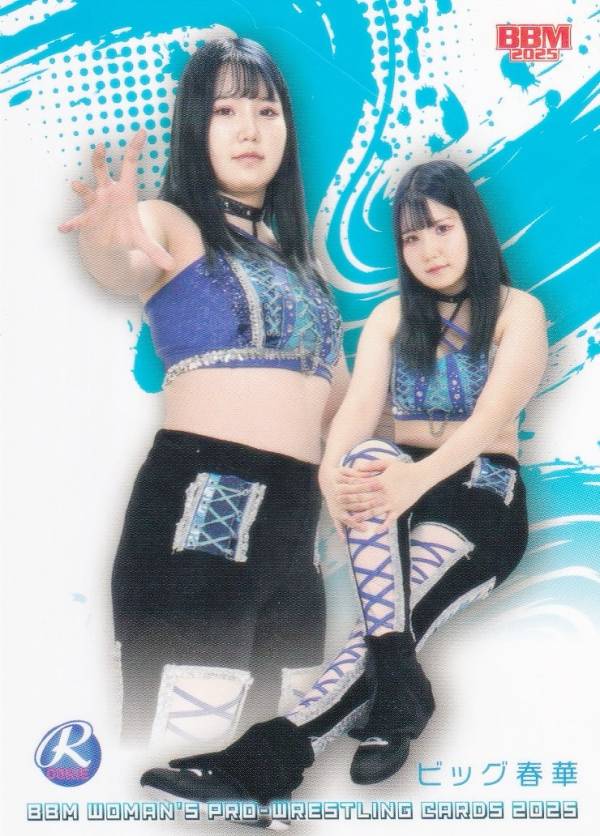 宅配便や、お手軽なメール便など様々な配送方法をご用意しております。　BOX販売・デッキ販売などの記載がない場合、ボックス封入シングルカード、デッキ封入スリーブ、デッキケースなどの単品販売です。 また、商品名に【プレイ用】表記がある場合は、プ...