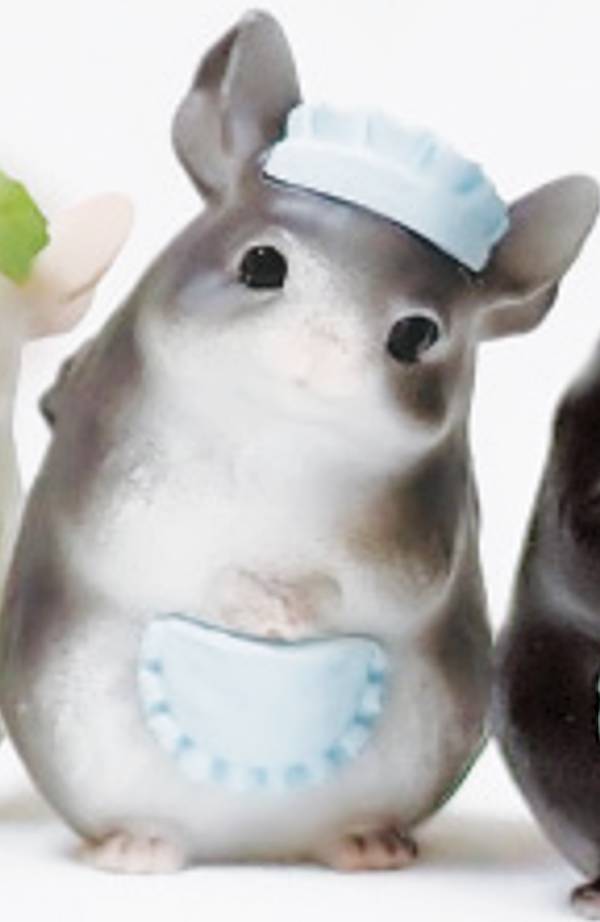 (C)caprice カプセル商品についてはカプセル・ブックレットが付かない場合があります。食玩についてはお菓子、外箱は付いておらず玩具のみの販売となります。類似商品はこちらブライトリンク