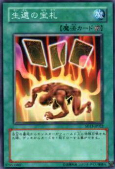 宅配便や、お手軽なメール便など様々な配送方法をご用意しております。　BOX販売・デッキ販売などの記載がない場合、ボックス封入シングルカード、デッキ封入スリーブ、デッキケースなどの単品販売です。 また、商品名に【プレイ用】表記がある場合は、プ...