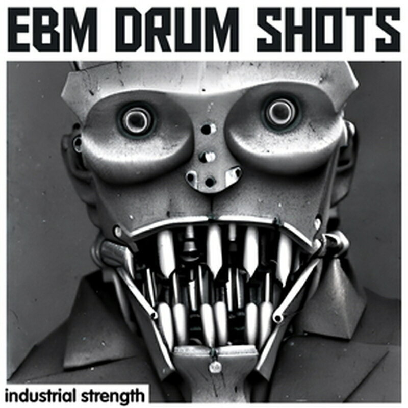 INDUSTRIAL STRENGTH/コード販売 商品一覧＞＞INDUSTRIAL STRENGTH/新品 商品一覧＞＞DTM【〜5，000円】 商品一覧＞＞プラグインソフト/プラグインその他/INDUSTRIAL STRENGTH 商品...