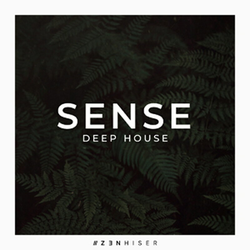 ZENHISER/コード販売 商品一覧＞＞ZENHISER/新品 商品一覧＞＞DTM【5，000円〜15，000円】 商品一覧＞＞プラグインソフト/プラグインその他/ZENHISER 商品一覧＞＞詳しくはこちらをご覧くださいZENHISER...