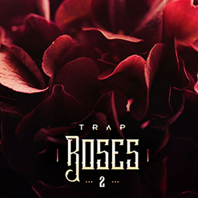 DIGINOIZ/コード販売 商品一覧＞＞DIGINOIZ/新品 商品一覧＞＞DTM【〜5，000円】 商品一覧＞＞プラグインソフト/プラグインその他/DIGINOIZ 商品一覧＞＞詳しくはこちらをご覧くださいDIGINOIZ TRAP R...