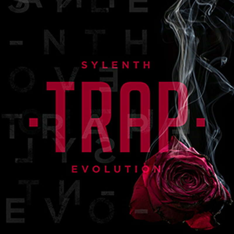 DIGINOIZ/コード販売 商品一覧＞＞DIGINOIZ/新品 商品一覧＞＞DTM【〜10，000円】 商品一覧＞＞プラグインソフト/プラグインその他/DIGINOIZ 商品一覧＞＞詳しくはこちらをご覧くださいDIGINOIZ SYLEN...