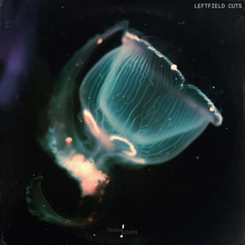 TOUCH LOOPS/コード販売 商品一覧＞＞TOUCH LOOPS/新品 商品一覧＞＞DTM【〜10，000円】 商品一覧＞＞プラグインソフト/プラグインその他/TOUCH LOOPS 商品一覧＞＞詳しくはこちらをご覧くださいTOUCH...