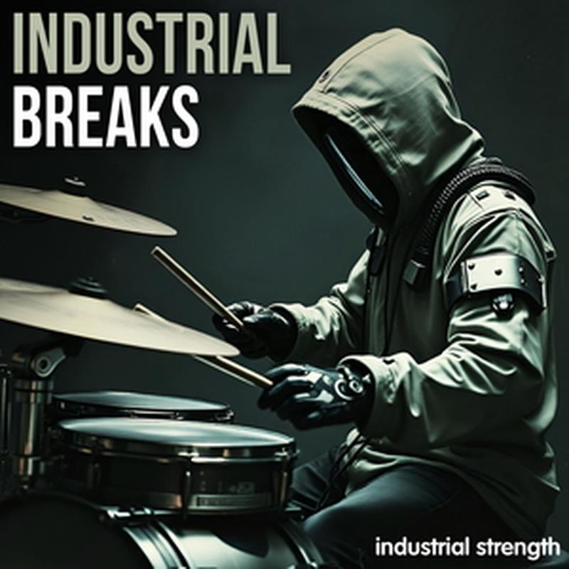 INDUSTRIAL STRENGTH/コード販売 商品一覧＞＞INDUSTRIAL STRENGTH/新品 商品一覧＞＞DTM【〜5，000円】 商品一覧＞＞プラグインソフト/プラグインその他/INDUSTRIAL STRENGTH 商品...