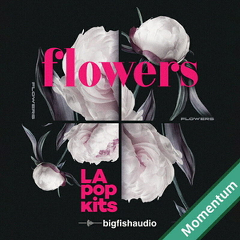 BIG FISH AUDIO/コード販売 商品一覧＞＞BIG FISH AUDIO/新品 商品一覧＞＞DTM【10，000円〜30，000円】 商品一覧＞＞プラグインソフト/プラグインその他/BIG FISH AUDIO 商品一覧＞＞詳しく...