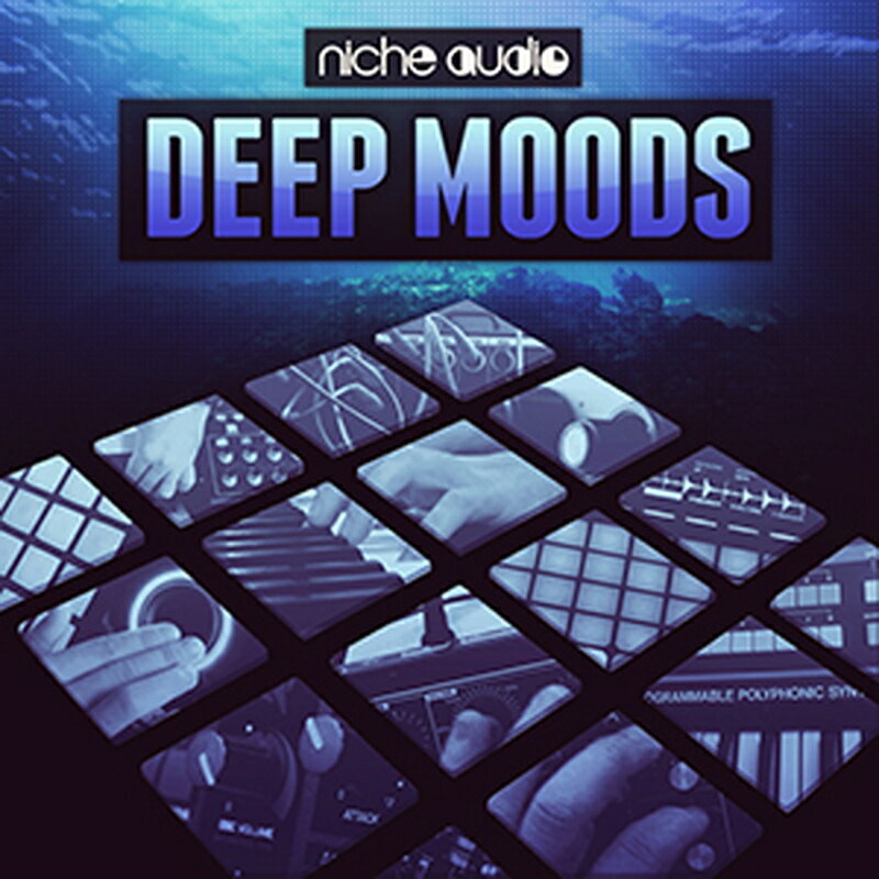 NICHE AUDIO/コード販売 商品一覧＞＞NICHE AUDIO/新品 商品一覧＞＞DTM【〜10，000円】 商品一覧＞＞プラグインソフト/プラグインその他/NICHE AUDIO 商品一覧＞＞詳しくはこちらをご覧くださいNICHE...