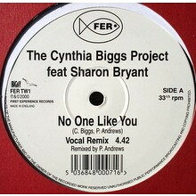 ・アーティスト Cynthia Biggs Project, Sharon Bryant ・タイトル No One Like You ・レーベル・型番 First Experience Records FERTW1 ・フォーマット 12" ...
