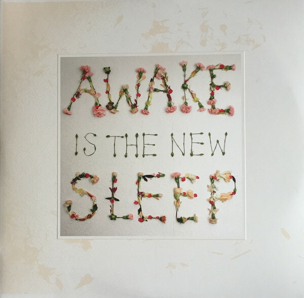 ・アーティスト Ben Lee ・タイトル Awake Is The New Sleep (180g) ・レーベル・型番 New West Records NW5115 ・フォーマット LPレコード ・コンディション(盤) 新品 (M) ・...
