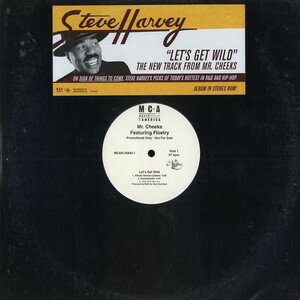 ・アーティスト Mr. Cheeks, Floetry ・タイトル Let's Get Wild ・レーベル・型番 MCA Records MCAR258401 ・フォーマット 12" ・コンディション(盤) 良い (VG+) ・コンディシ...