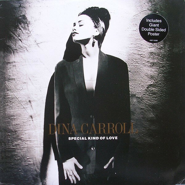 ・アーティスト Dina Carroll ・タイトル Special Kind Of Love ・レーベル・型番 A&M PM, A&M Records, 1st Avenue Records AMY0088,5800881 ・フォーマット...