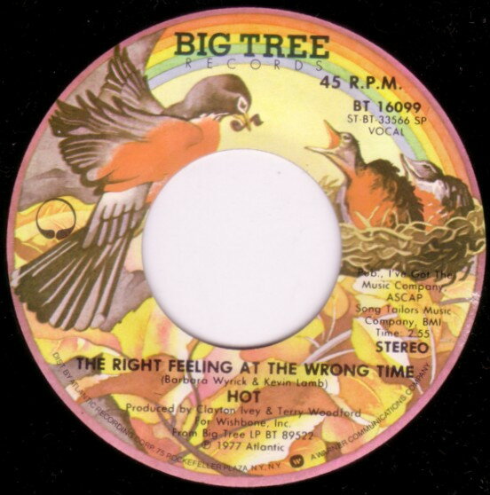 ・アーティスト Hot ・タイトル The Right Feeling At The Wrong Time ・レーベル・型番 Big Tree Records BT16099 ・フォーマット 7" ・コンディション(盤) 良い (VG+) ...