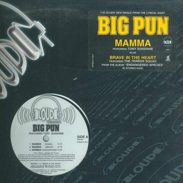 ・アーティスト Big Punisher ・タイトル Mamma / Brave In The Heart ・レーベル・型番 Loud Records RPROLP4511 ・フォーマット 12" ・コンディション(盤) 良い (VG+) ...