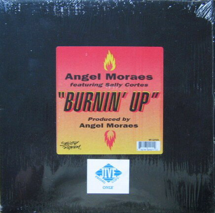 ・アーティスト Angel Moraes, Sally Cortes ・タイトル Burnin' Up ・レーベル・型番 Strictly Rhythm SR12421 ・フォーマット 12インチレコード ・コンディション(盤) ほぼ新品 ...