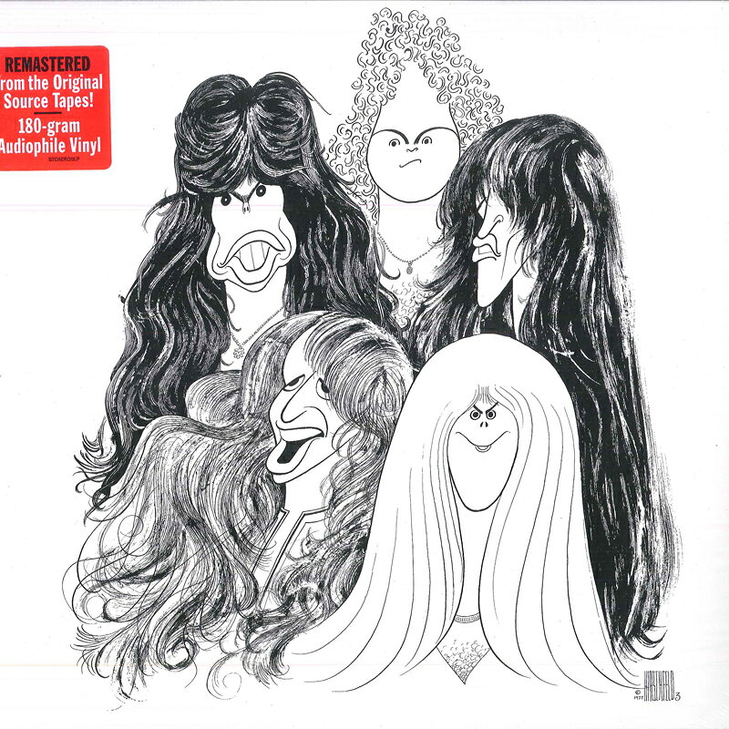 ・アーティスト Aerosmith ・タイトル Draw The Line ・レーベル・型番 Capitol Records B003801001 ・フォーマット LP ・コンディション(盤) 新品 (M) ・コンディション(ジャケット) ...