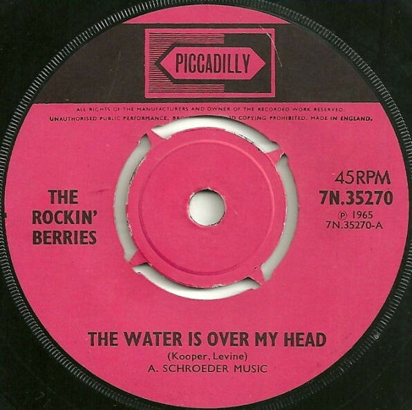 ・アーティスト Rockin' Berries ・タイトル The Water Is Over My Head / Doesn't Time Fly ・レーベル・型番 Piccadilly 7N35270 ・フォーマット 7インチレコード ...