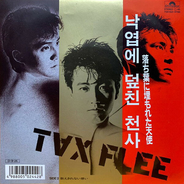 ・アーティスト Tax Flee ・タイトル 落ち葉に埋もれた天使 ・レーベル・型番 POLYDOR 7DX1521 ・フォーマット 7インチレコード ・コンディション(盤) 良い (VG+) ・コンディション(ジャケット) 良い (VG+...