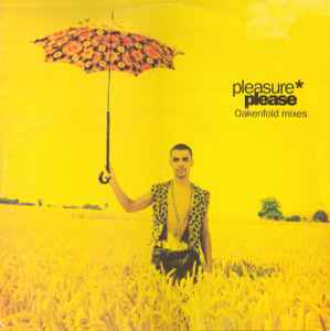 ・アーティスト Pleasure ・タイトル Please (Oakenfold Mixes) ・レーベル・型番 Anxious Records NERVT13DJ ・フォーマット 12インチレコード ・コンディション(盤) 良い (VG+...