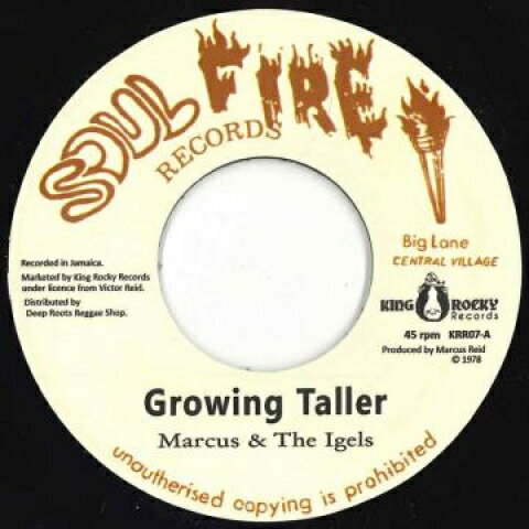 ・アーティスト Marcus & The Igels ・タイトル Growing Taller / Studio Works ・レーベル・型番 Soul Fire/King Rocky KRR07 ・フォーマット 7" ・コンディション(盤...