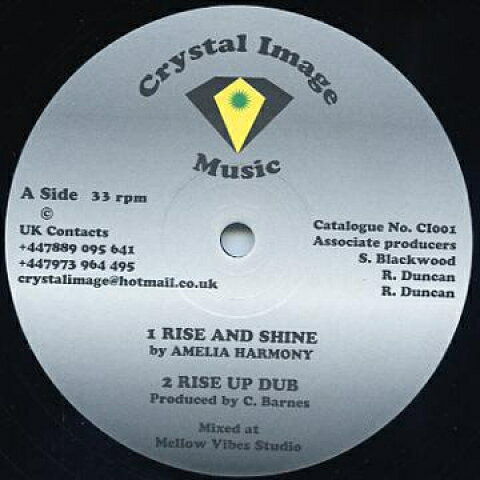 ・アーティスト Amelia Harmony / Tampane; Kuki Blaze ・タイトル Rise And Shine; Rise Up Dub / I Would Climb The Mountain; Mek Use Of ...