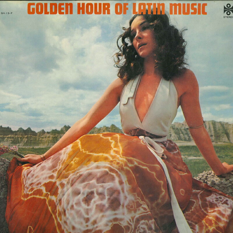 ・アーティスト Various ・タイトル ラテン音楽で1時間 ・レーベル・型番 ORFEON GH13F ・フォーマット LP ・コンディション(盤) 良い (VG+) ・コンディション(ジャケット) 良い (VG+) ・コンディション(...
