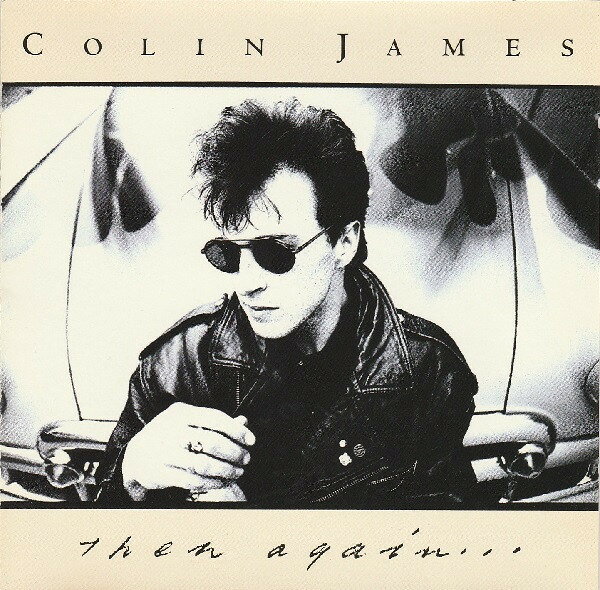 ・アーティスト Colin James ・タイトル Then Again... ・レーベル・型番 VIRGIN MUSIC CANADA V240179 ・フォーマット CD ・コンディション(盤) 良い (VG+) ・コンディション(ジャ...