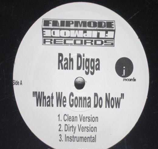 ・アーティスト Rah Digga ・タイトル What We Gonna Do Now ・レーベル・型番 ・フォーマット 12インチレコード ・コンディション(盤) 良い (VG+) ・コンディション(ジャケット) プレインカバー（元ジャ...