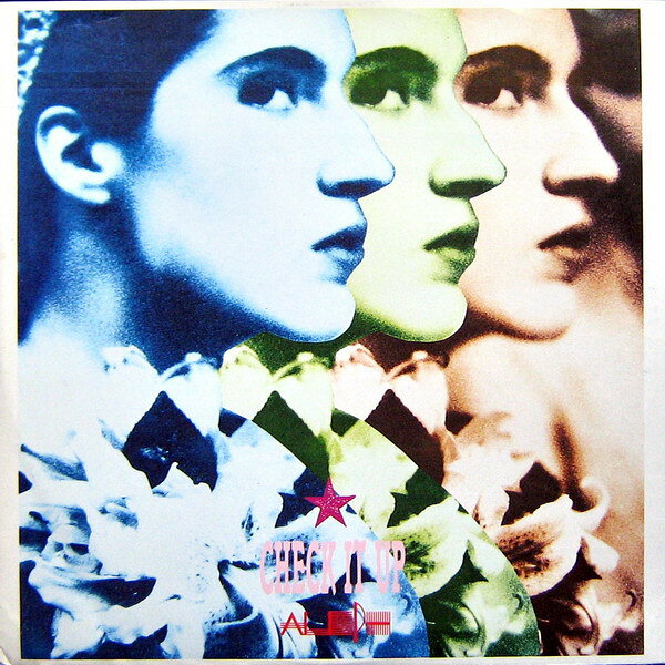 ・アーティスト Aleph ・タイトル Check It Up ・レーベル・型番 TIME TRD1085 ・フォーマット 12" ・コンディション(盤) 可 (VG) ・コンディション(ジャケット) プレインカバー（元ジャケット／カバー無...