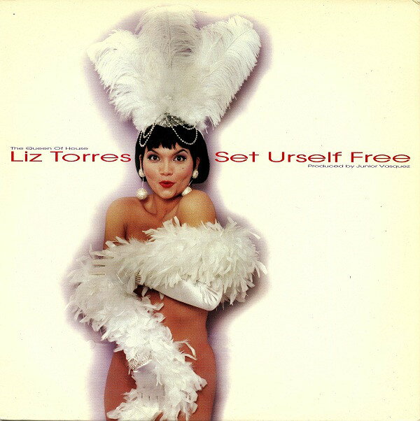 ・アーティスト Liz Torres ・タイトル Set Urself Free ・レーベル・型番 Radikal Records RR15035 ・フォーマット 12インチレコード ・コンディション(盤) 良い (VG+) ・コンディショ...