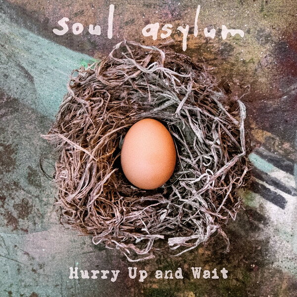 ・アーティスト Soul Asylum ・タイトル Hurry Up And Wait ・レーベル・型番 Blue ?lan Records BER1251LPR ・フォーマット LPレコード ・コンディション(盤) 新品 (M) ・コンデ...