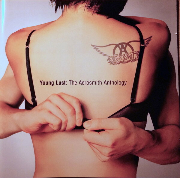 ・アーティスト Aerosmith ・タイトル Young Lust: The Aerosmith Anthology ・レーベル・型番 Geffen Records 4931192 ・フォーマット CD ・コンディション(盤) 良い (V...