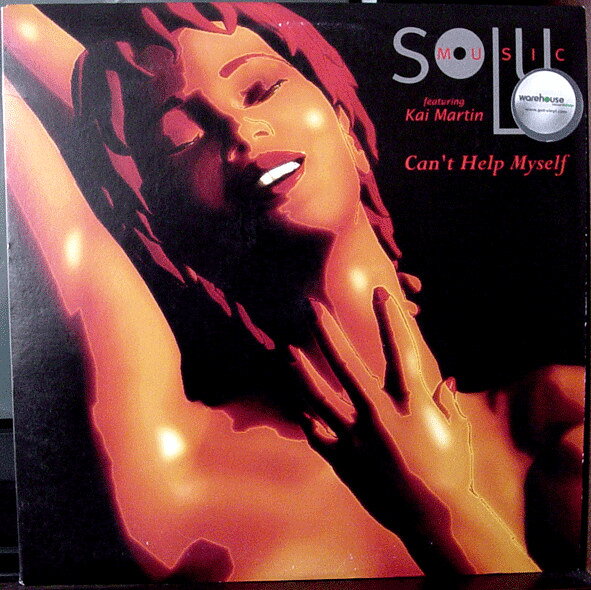 ・アーティスト Solu Music ・タイトル Can't Help Myself ・レーベル・型番 Solu Music SOLU007 ・フォーマット 12インチレコード ・コンディション(盤) 良い (VG+) ・コンディション(ジ...