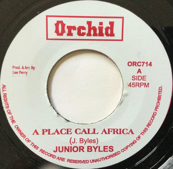 ・アーティスト Junior Byles ・タイトル A Place Call Africa ・レーベル・型番 Orchid ORC714 ・フォーマット 7インチレコード ・コンディション(盤) 良い (VG+) ・コンディション(ジャケ...