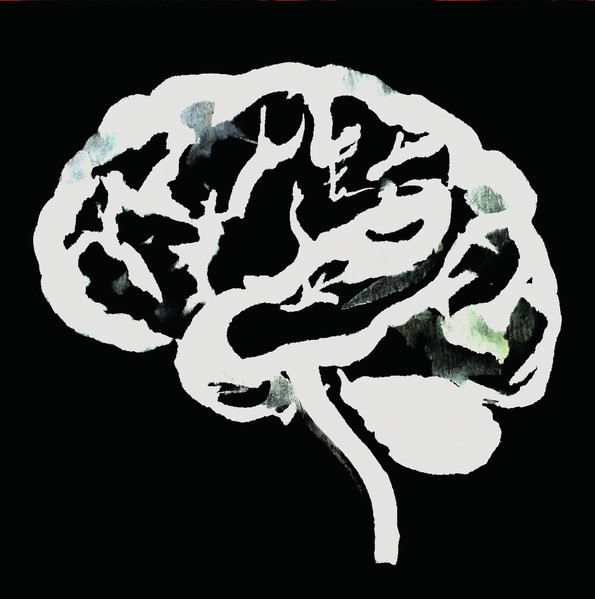 ・アーティスト Ruins ・タイトル Brain Flakes ・レーベル・型番 Spittle Depandance SPITTLEDD07 ・フォーマット LPレコード ・コンディション(盤) 新品 (M) ・コンディション(ジャケッ...