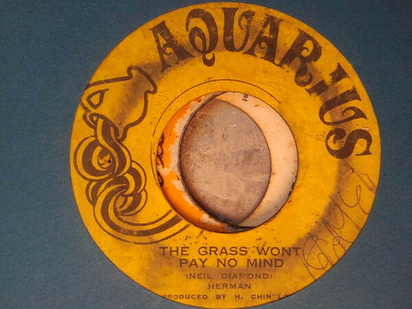 ・アーティスト Herman / Jimmy James ・タイトル Grass Won't Pay No Mind / River Boat Jenny ・レーベル・型番 Aquarius NONE ・フォーマット 7インチレコード ・コ...