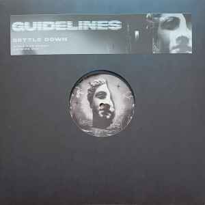 ・アーティスト Settle Down ・タイトル The Dun Dudda / Wipe Out ・レーベル・型番 Guidelines GDLNS001 ・フォーマット 12インチレコード ・コンディション(盤) 新品 (M) ・コン...