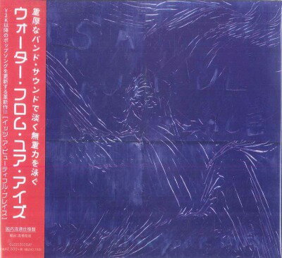 ・アーティスト Water From Your Eyes ・タイトル It's A Beautiful Place ・レーベル・型番 MATADOR OLE2131CDJP ・フォーマット CD ・コンディション(盤) 新品 (M) ・コン...
